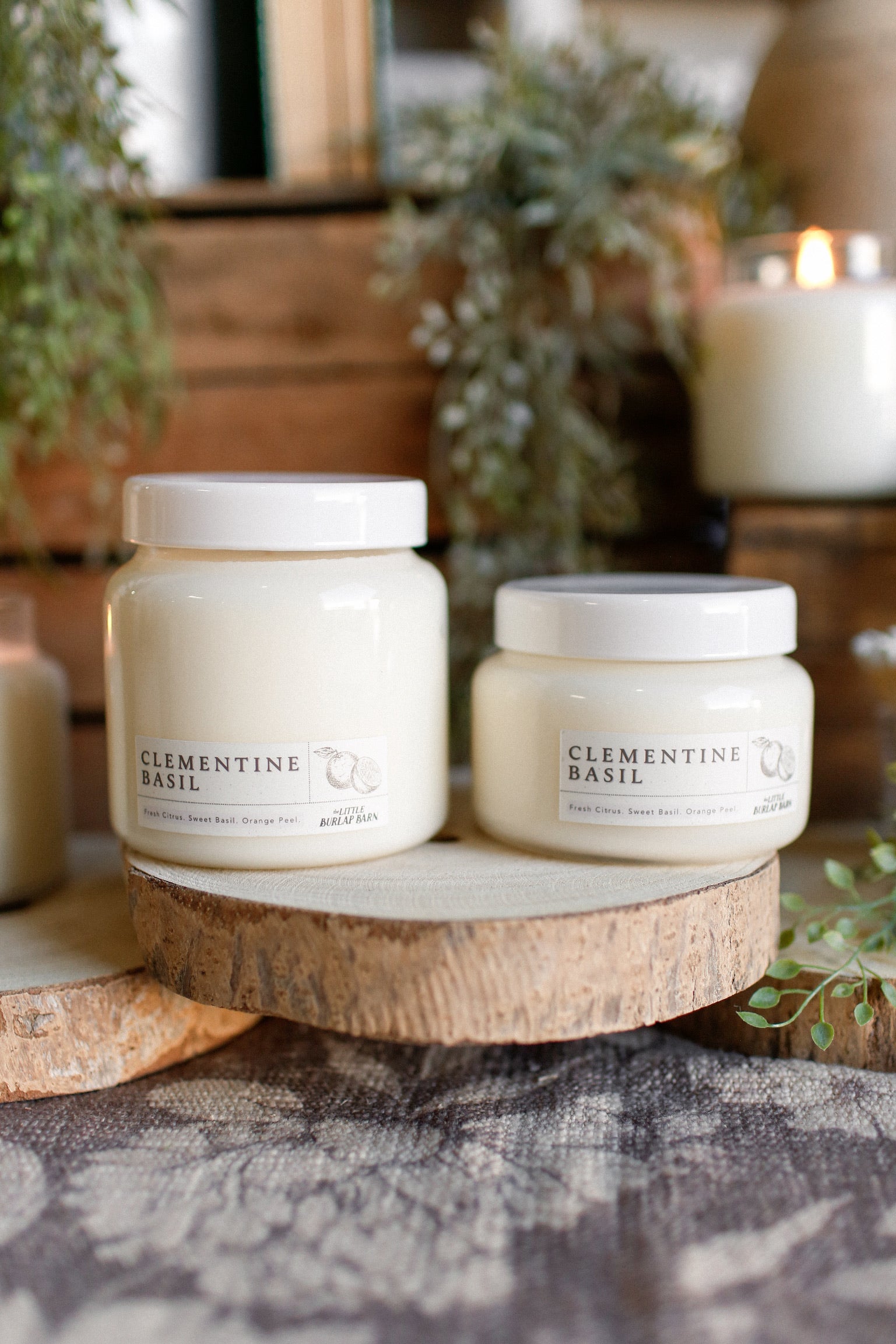 Apothecary Candle - Refreshing Clementine Basil Scent – The Little ...